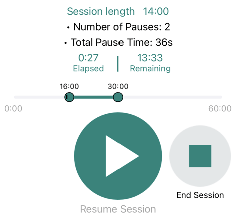 What is the Difference Between 'End Session' and 'Pause Session' in the App?